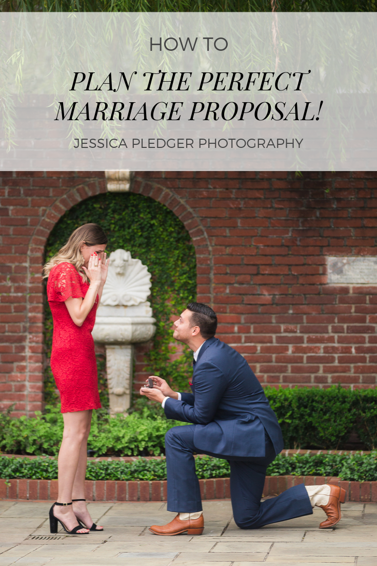How to Plan the Perfect Proposal! - Jessica Pledger Photography